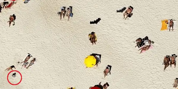 Can You Spot What Is Hidden In These Pictures?