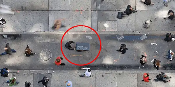 Can You Spot What Is Hidden In These Pictures?